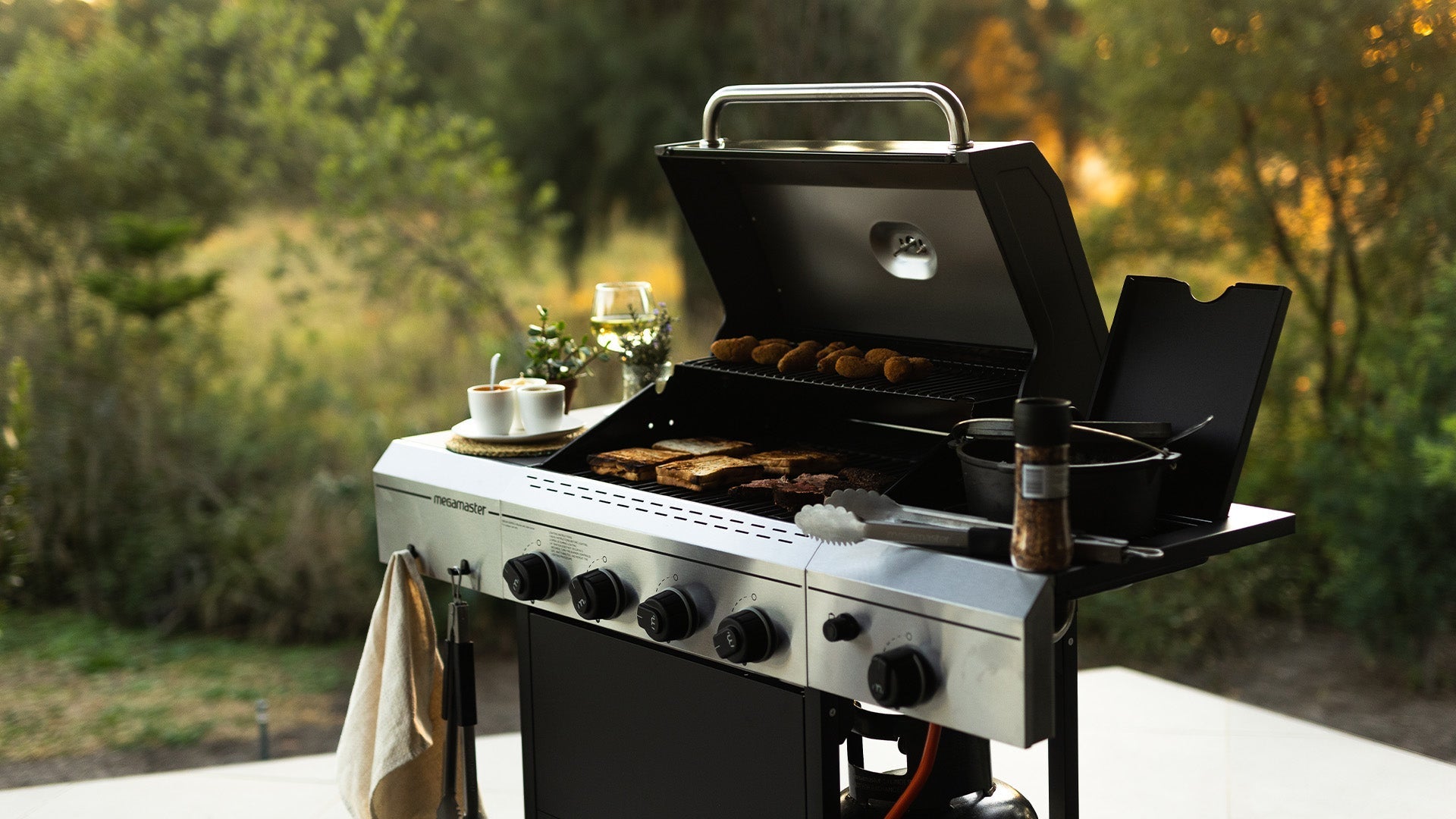 Introduction to braaiing on gas – Megamaster